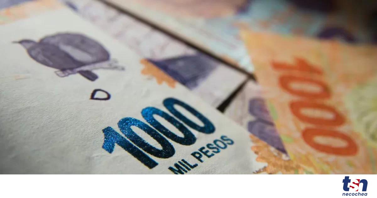Banco Nación Lanzó Una Línea De Créditos De Hasta 4 Millones Y Plazo