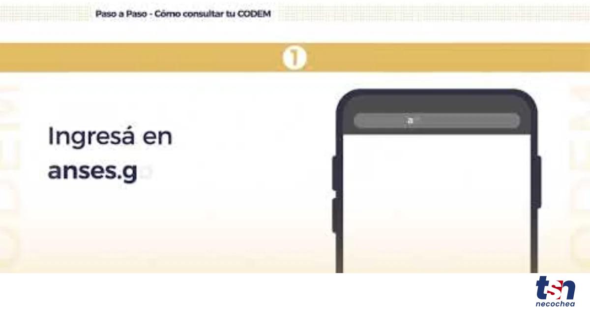 ANSES: Consultá tu CODEM | TSN Necochea