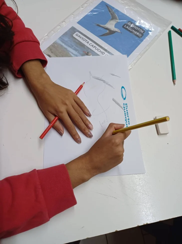 Puerto Ciudad: Actividades educativas en el Instituto SER | TSN Necochea