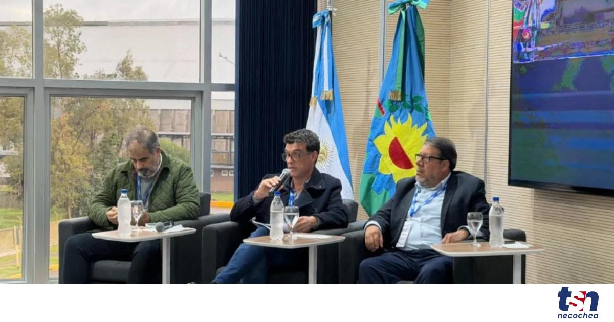 Puerto Quequén avanza en su plan estratégico: aprendizaje internacional ...
